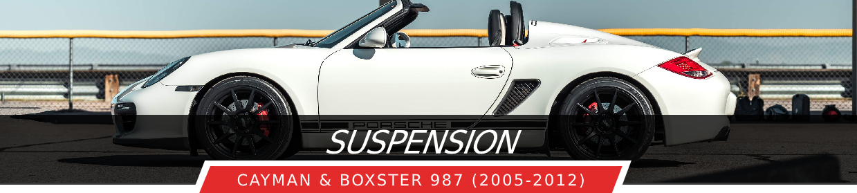 Porsche Cayman & Boxster 987 Suspension | Flat 6 Motorsports