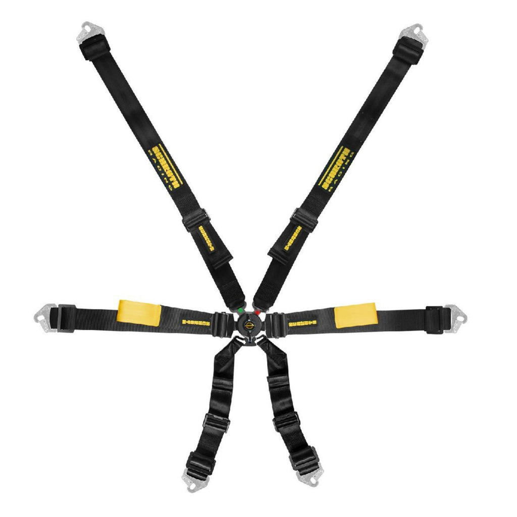 Schroth Racing Enduro 6-Point Harness