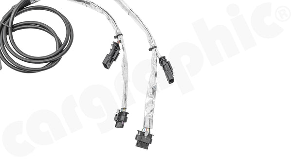 Cargraphic Valve Control Unit for Porsche 911 Carrera